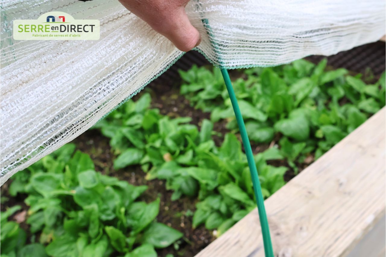 Arceaux pour tunnel Nantais en fibre de verre, longueur 2.50 m | Serre ...
